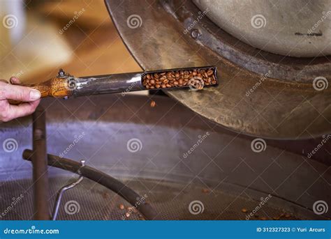 Coffee Beans Machine And Hands In Factory For Roast Grinding Or