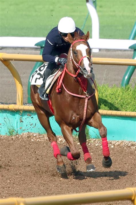 【函館スプリントs】ジャスパークローネが3連勝で重賞初制覇へ 陣営「1200メートルの方がレースはしやすい」 スポーツ報知