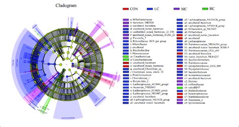 Lefse Linear Discriminant Analysis Effect Size Cladogram Comparing