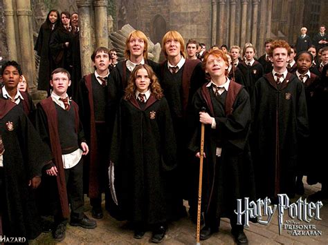 Gryffindor Hermione Granger Photo 30394293 Fanpop