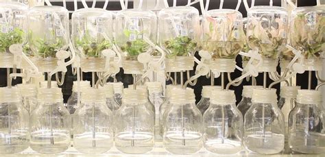 Bioreactor Pts