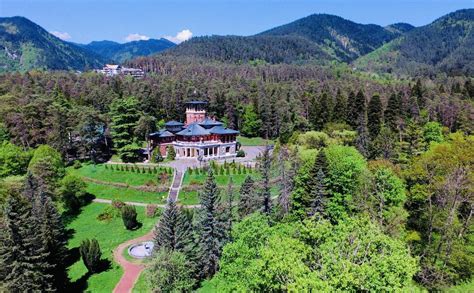 სამხატვრო სტუდია “ სამხატვრო სტუდია “ მარიამისი