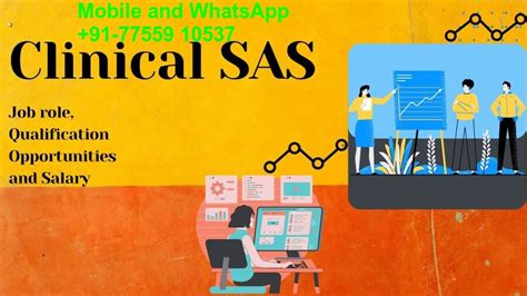 Clinical SAS Online Training With Low Course Fee In India