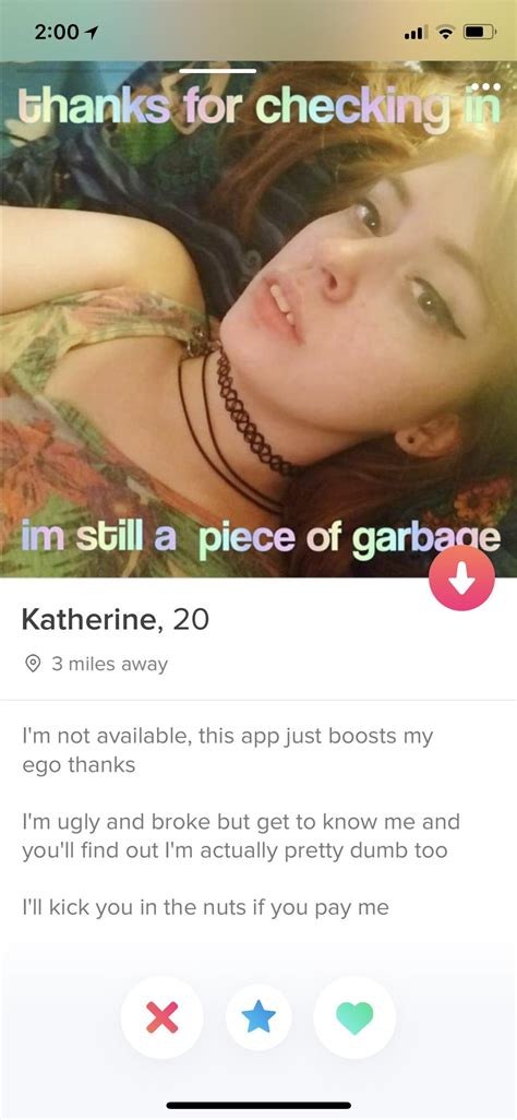 This Profile Sums Up Tinder In My Local Area R Tinder