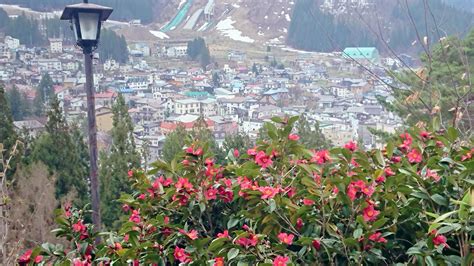 こだわり まさぞう 信州野沢温泉の民宿