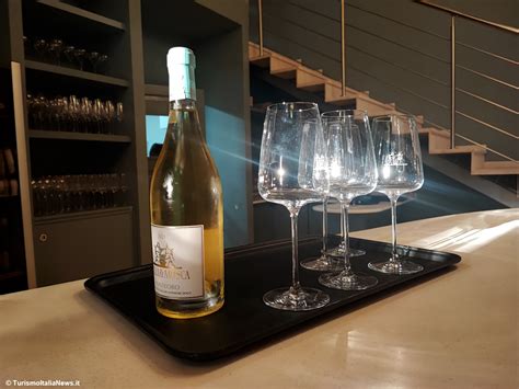 Tesori Enologici Di Sardegna Viaggio Sensoriale Tra Cantine E Vitigni