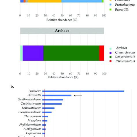 Composition Of The Active Microbial Community Resident In Groundwater