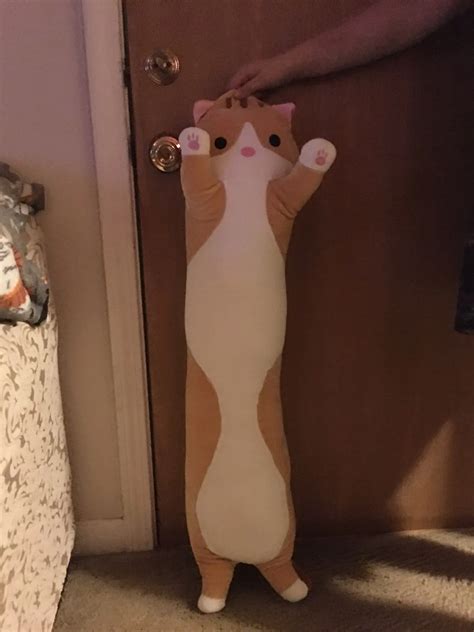 Chonky Cat Plush Body Pillow Dakimakura Chonky Bois