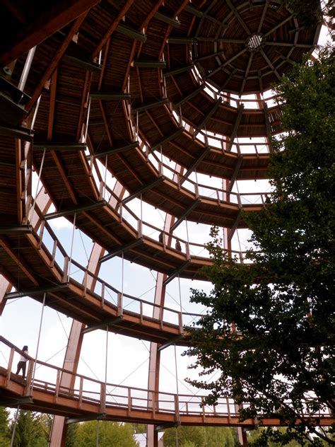 Deanna Time TREE TOP WALK