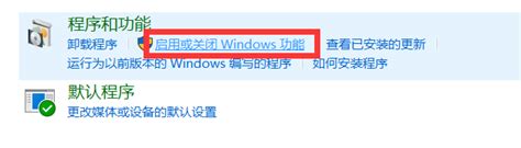 win10电脑iis服务器配置asp环境 iis10 托管asp csdn博客