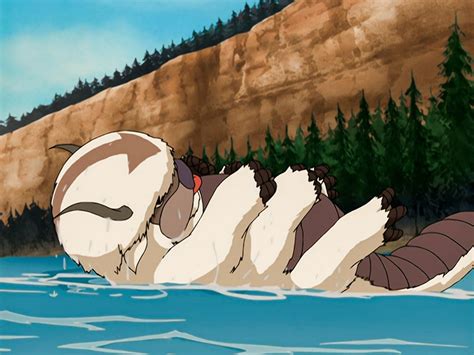 Appa And Momo Wallpapers Top Free Appa And Momo Backgrounds Wallpaperaccess