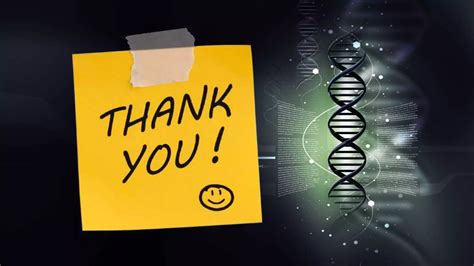 Link Between Replication And Cell Cycle Ppt