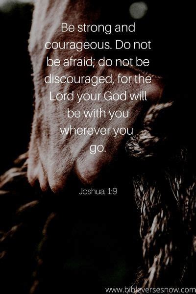 40 Popular Prayer For Academic Excellence Bible Verses Bible Verses