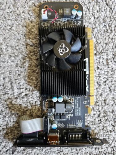 Xfx Radeon R7 240 780m Boost 2gb Gddr3 Vga Dvi Hdmi R7 240a Cl Ebay