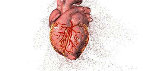 Lung Disease Tied To Higher Heart Disease Risk Respiratory Therapy