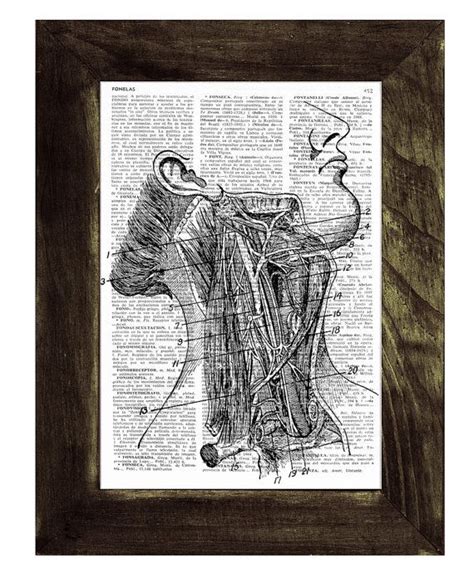 Neck Arteries Anatomy Art Print T For Medical Students Upcycled