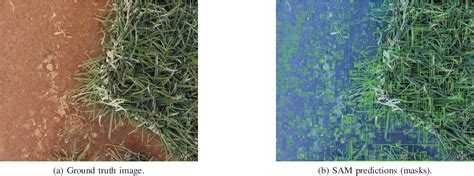 Figure 1 From Object Detection In Pineapple Fields Drone Imagery Using
