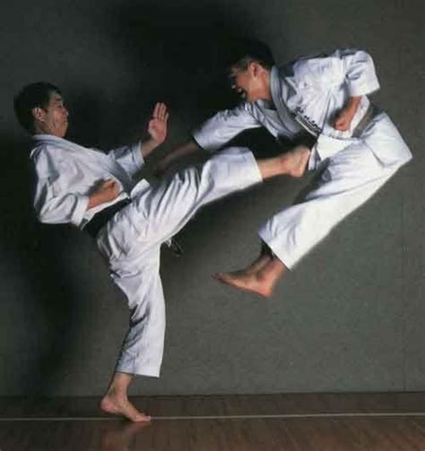 Лучшее каратэ – Karate.ru