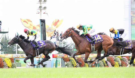 早め先頭で押し切り、菊花賞を制したワールドプレミア（左）（撮影・平嶋 理子） ― スポニチ Sponichi Annex ギャンブル