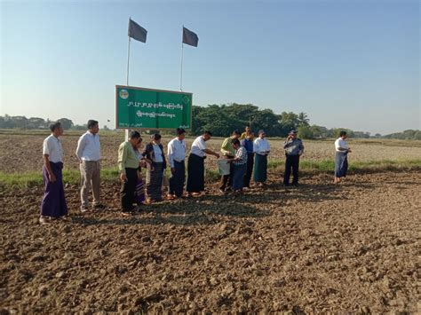 သုံးခွမြို့၌ ၂၀၂၂ ၂၀၂၃ ခုနှစ် ရေဆင်းစပ်မျိုးနေကြာ၁ ဆောင်း‌နေကြာသီးနှံ