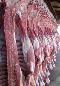 КУПЛЮ/ПРОДАМ МЯСО ОПТОМ 2024 | ВКонтакте