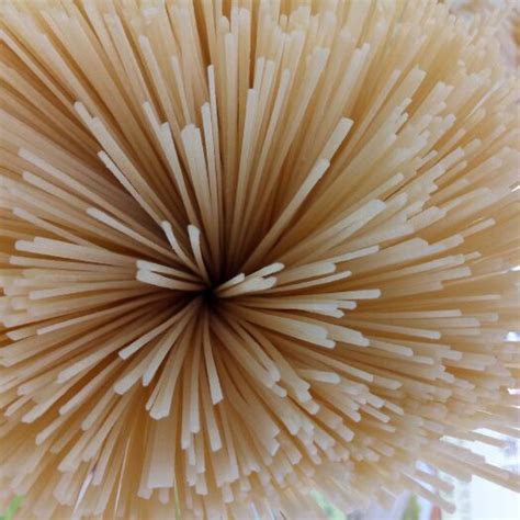 富硒小麦批发 富硒小麦，优质强筋，颗粒饱满，常年供货，帮找货车，随时发货价格15元斤 惠农网