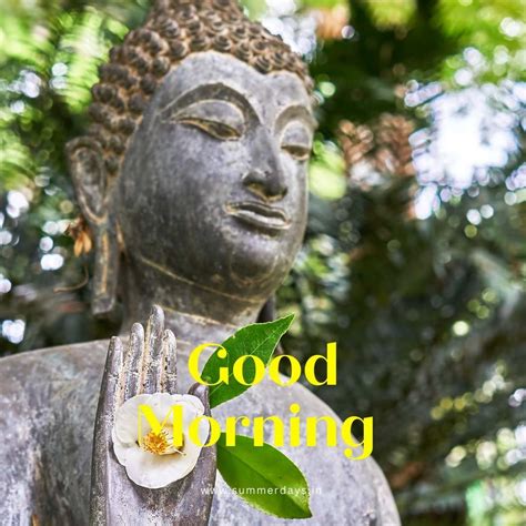 Bless Your Day With Good Morning Buddha Images Latest Buddhas Images
