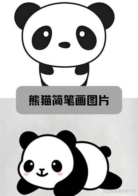 幼儿简笔画开心的熊猫（11张） 简笔画图片大全