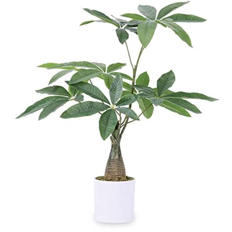 フェイクグリーン 人工観葉植物 観葉樹 造花 光触媒 空気清浄 【パキラ 多幸の木】高さ55cm 屋内 オフィス 鉢植え 植木の評判・口コミ