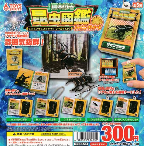 Insect Encyclopedia Mascot With Miniature Specimen Stag Beetle Shining