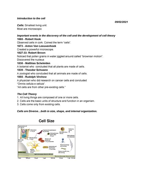 Introduction To Cell Biology Introduction To The Cell Cells Smallest