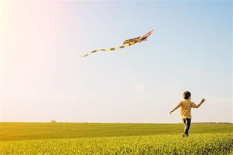 Маленький мальчик играет с воздушным змеем на зеленом лугу Бесплатно Фото