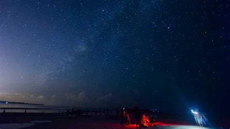Llegan las Leónidas paso a paso para ver la lluvia de estrellas desde