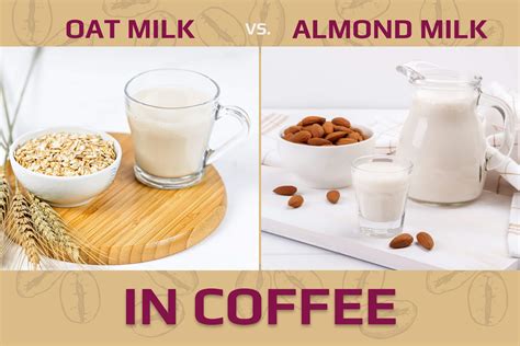 Oat Milk Vs Almond Milk In Coffee Based On The Top 3 Factors
