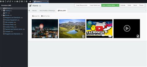Github Seigersgallery Sgallery Plugin For Attaching Images And