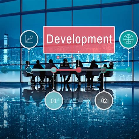 Maximo Customization And Development For Specific Needs