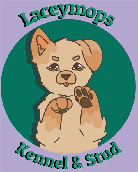 Laceymops Kennel And Stud Laceymops Golden Therapies