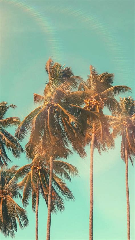 100 Summer Iphone Wallpapers