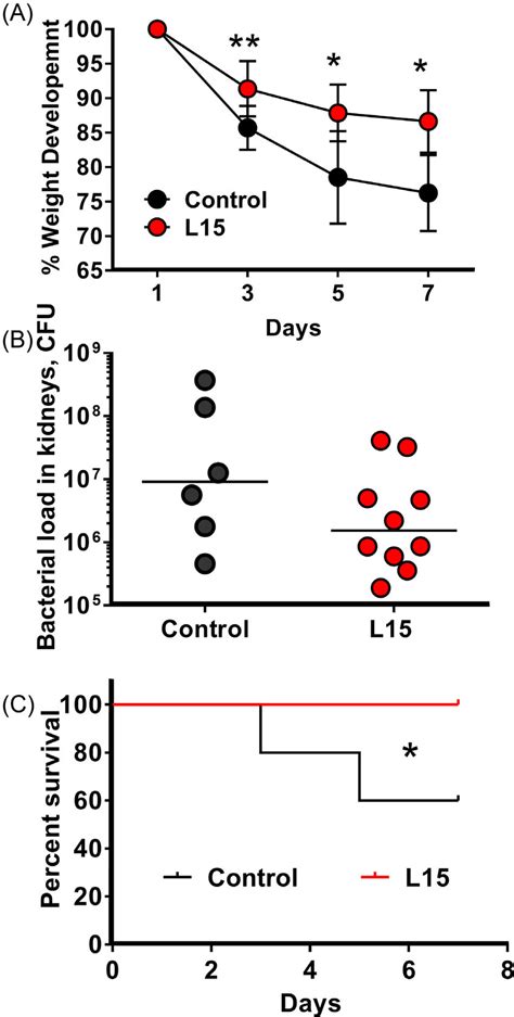 L15 Treatment Ameliorates Systemic S Aureus Infection In Mice Nmri Download Scientific