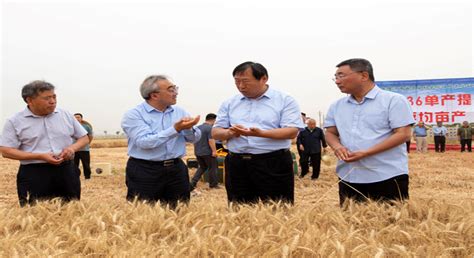 院县共建小麦单产提升“延津模式”现场会 在延津召开 植物营养与资源环境研究所
