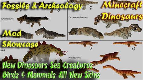 Fossils And Archeology Mod Latest Version At Ellen Hannan Blog