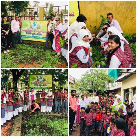 Tree Plantation Campaign Daffodils Higher Secondary Babe