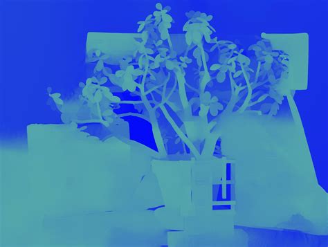 Defom Stereo Depth Foundation Model Based Stereo Matching