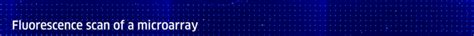 Microarray Printer With Non Contact Piezo Tips For Multiparameter Analysis