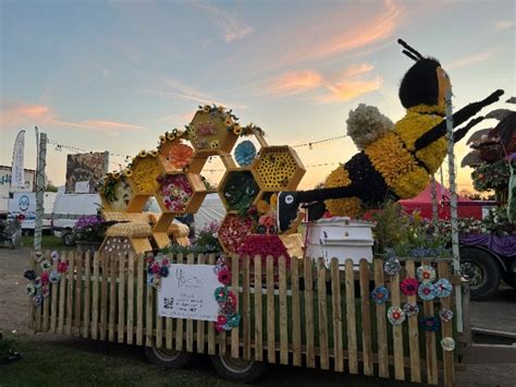 Gee Tee Bulbs Allotment Online