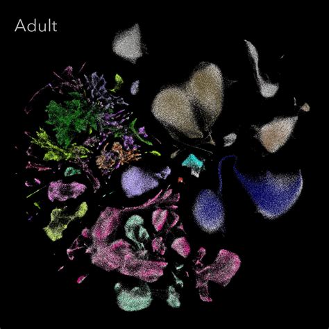 Icymi Aging Mouse Brain Data Is Now Available On The Allen Brain Cell