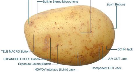 Just Thought Id Show You Guys What A Potato Camera Looks Like Imgur