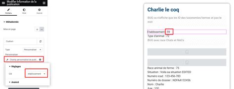 Front End Show Taxonomies IDs Instead Of Terms Name ACF Support