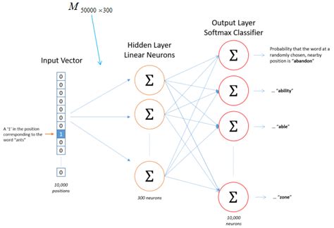 Pytorch实现word2vec Mathor