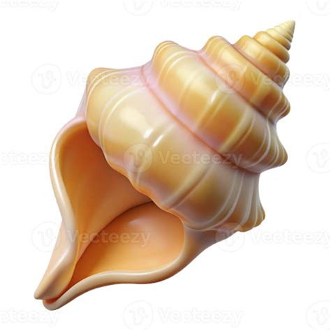 Dramatic Abstract Seashell Conch 4k 59401771 Png
